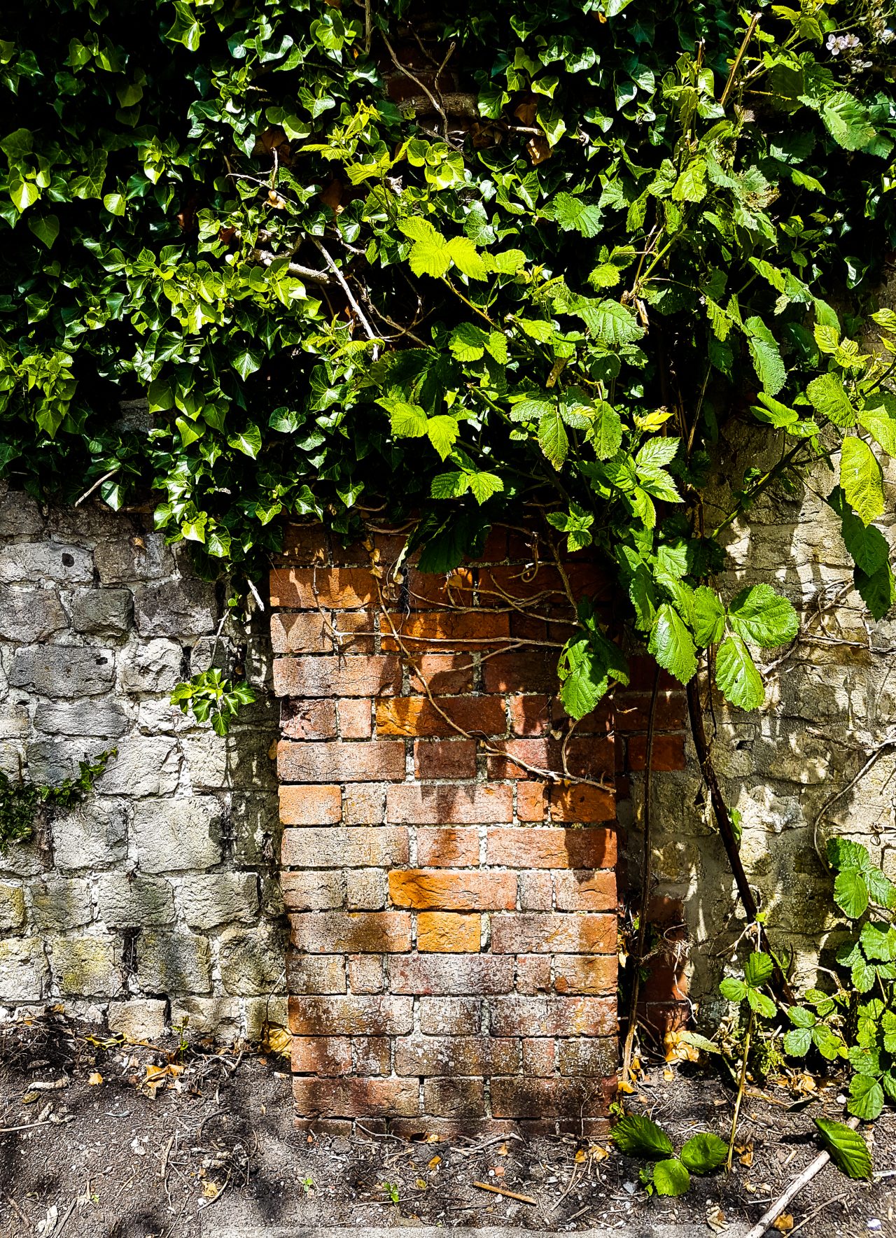 Brick Tree - light on a lens